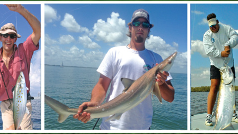 Big Dogs. ”This trio of tackle-busters, all available near or inshore ...