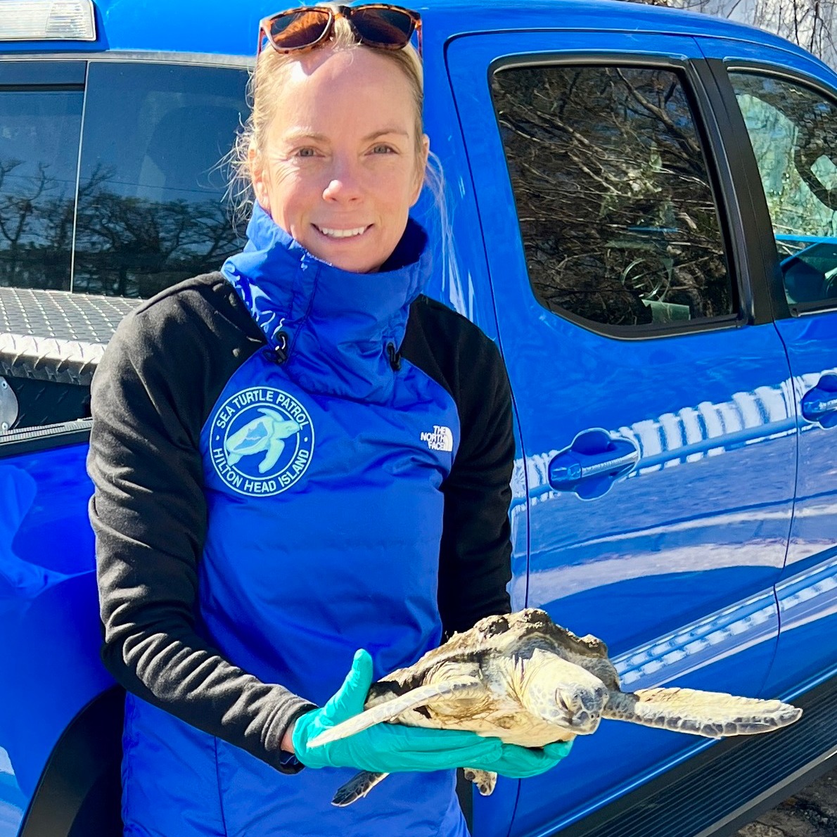 Cold-Stunned Sea Turtles - Hilton Head Island, SC | HiltonHeadIsland.com